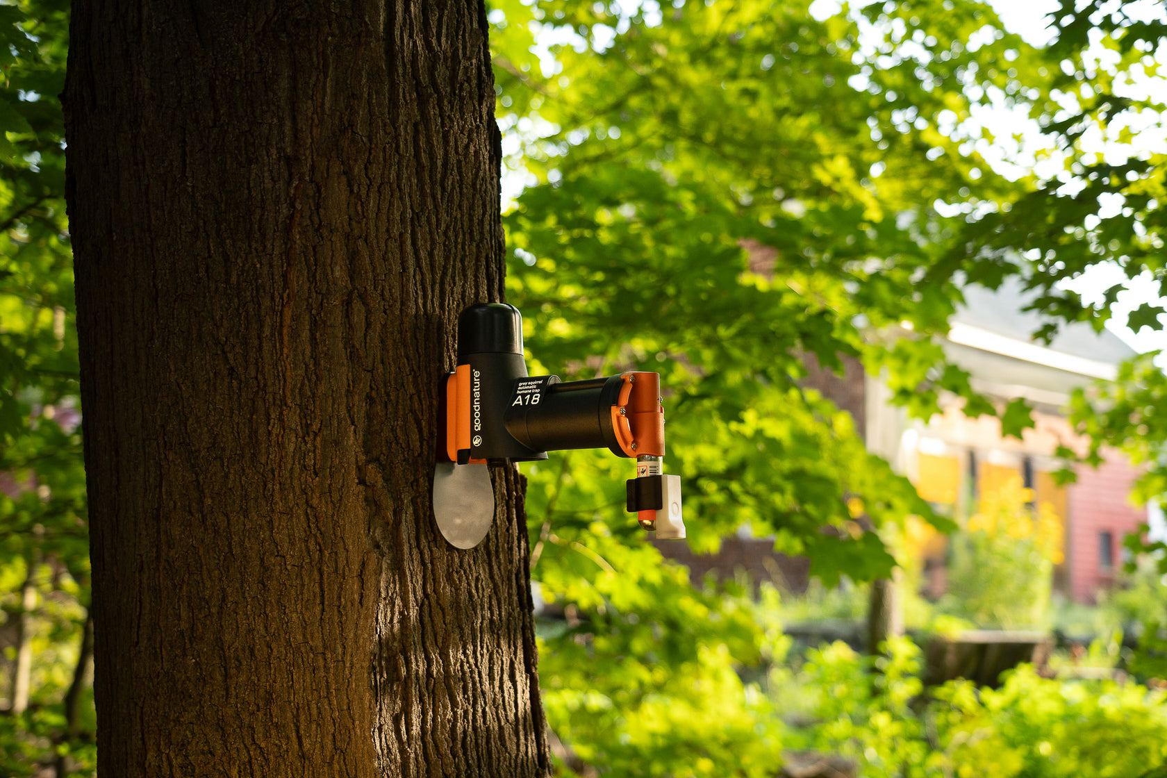 A18 Squirrel and Large Rodent Trapping Kit | Automatic Trap Company ...