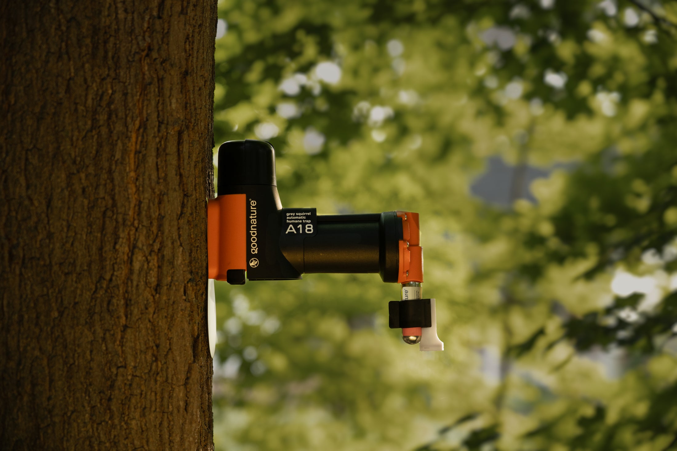 A18 Squirrel and Large Rodent Trapping Kit | Automatic Trap Company ...