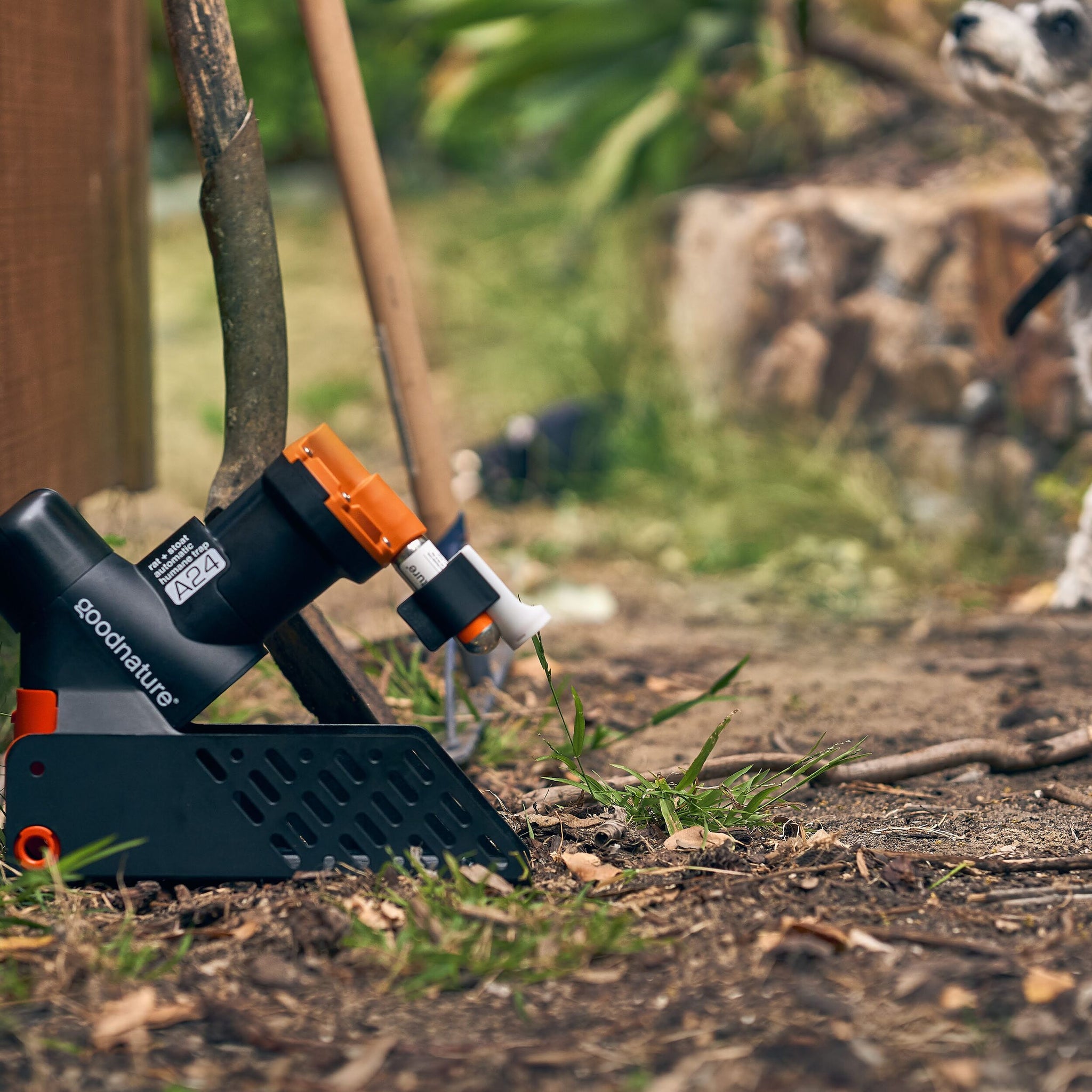 Home Trapping Kit A24 Rat & Mouse Trap with Counter | Goodnature USA