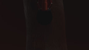 A18 Squirrel and Large Rodent Trapping Kit | Automatic Trap Company ...