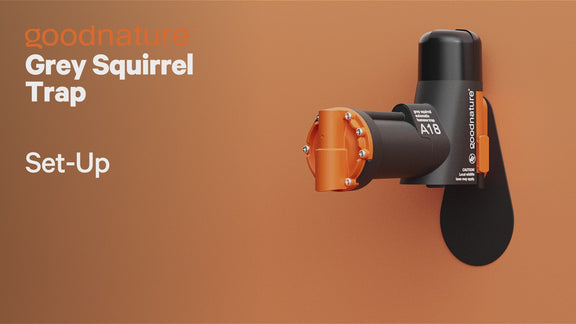 A18 Squirrel and Large Rodent Trapping Kit | Automatic Trap Company ...